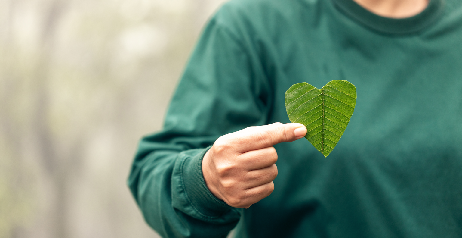 CUBE 2025 MODELLE: FAHRRÄDER UND E-BIKES» MHW Bike Magazin